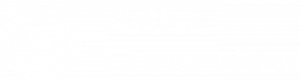Artist Connection - Powered by Artist Connection